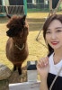 가평볼거리 가평당일치기 가볼만한곳 어린이날 아이들과 함께하기 좋은곳 네이버 블로그